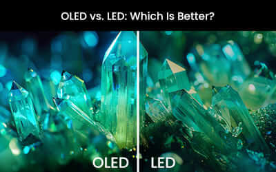 OLED vs LED: Which Is Better?