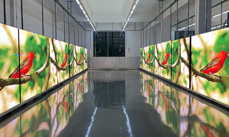 Premium Commercial LED Displays | TOP DANCE